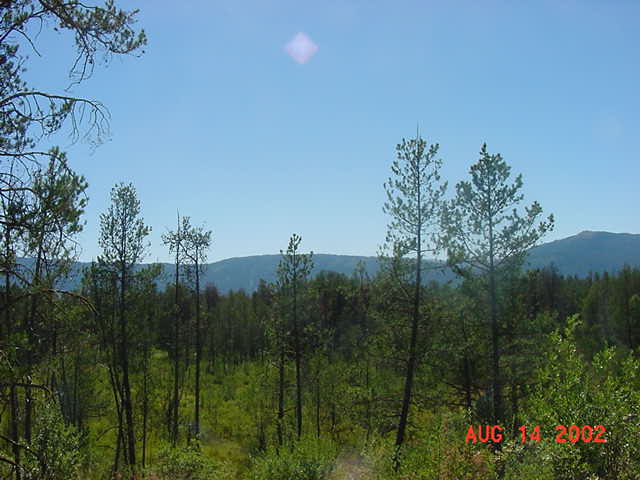 Valley County Parcels Open Data